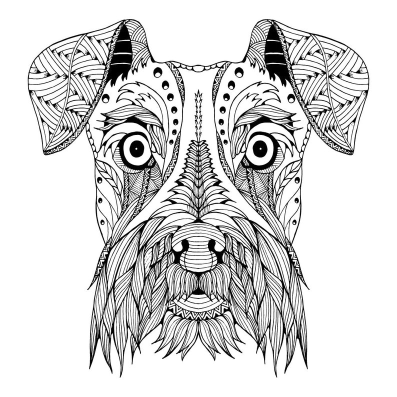 24 X 24 Large Coloring Poster Dog - Etsy