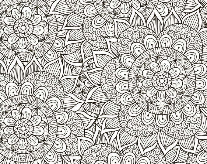 24 X 36 Large Coloring Poster Library - Etsy