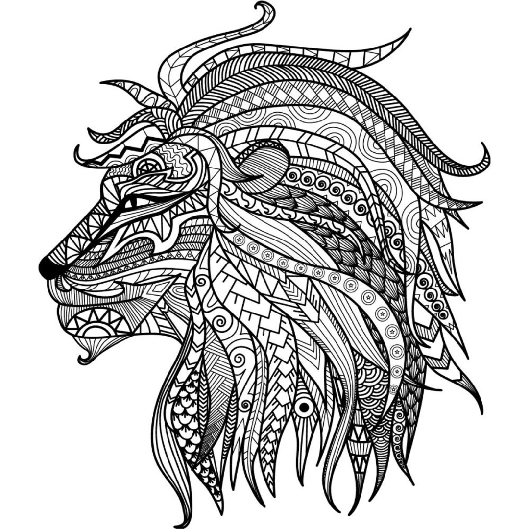 24" X 24" Large Coloring Poster - Lion - Etsy