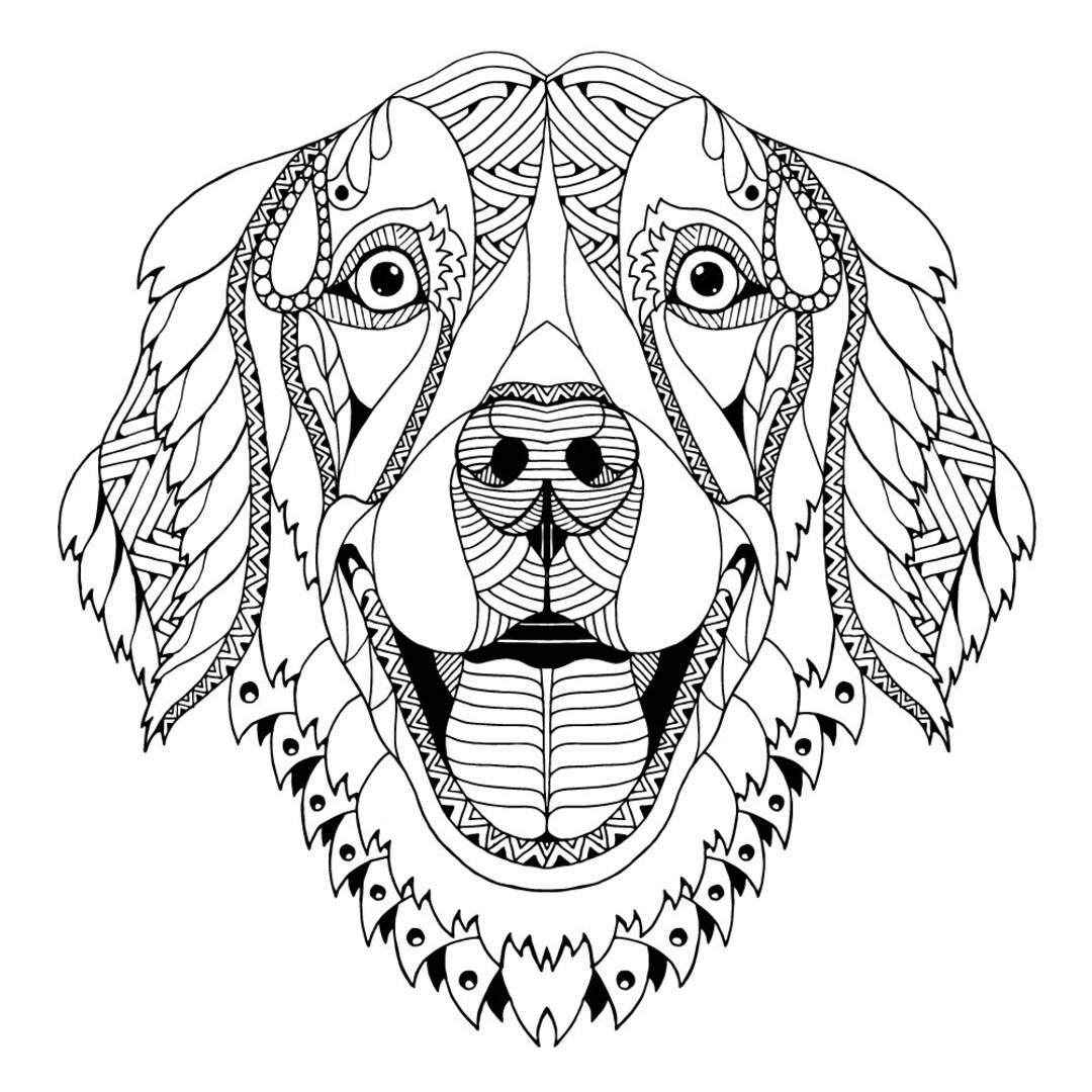 24 X 24 Large Coloring Poster Dog II - Etsy