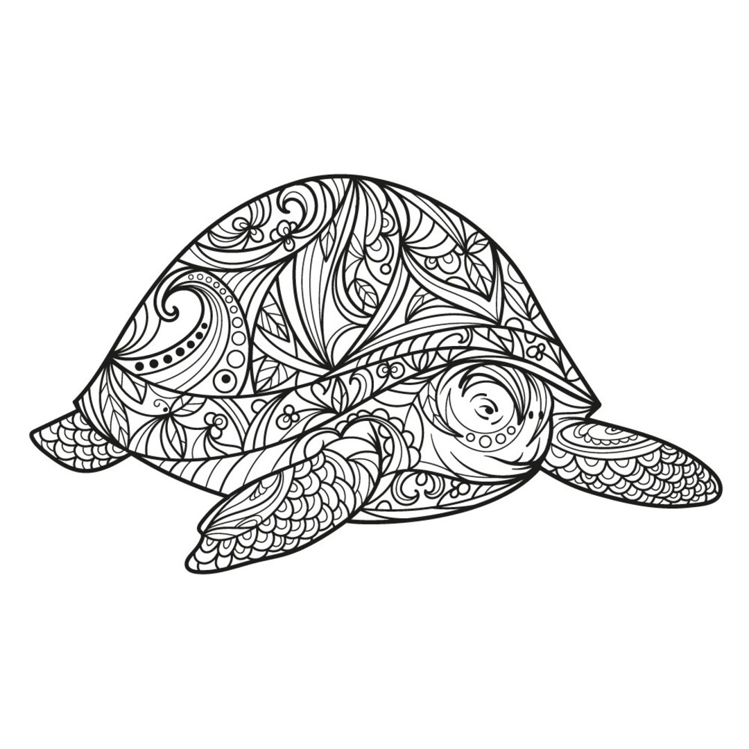 24" X 24" Large Coloring Poster - Sea Turtle II - Etsy