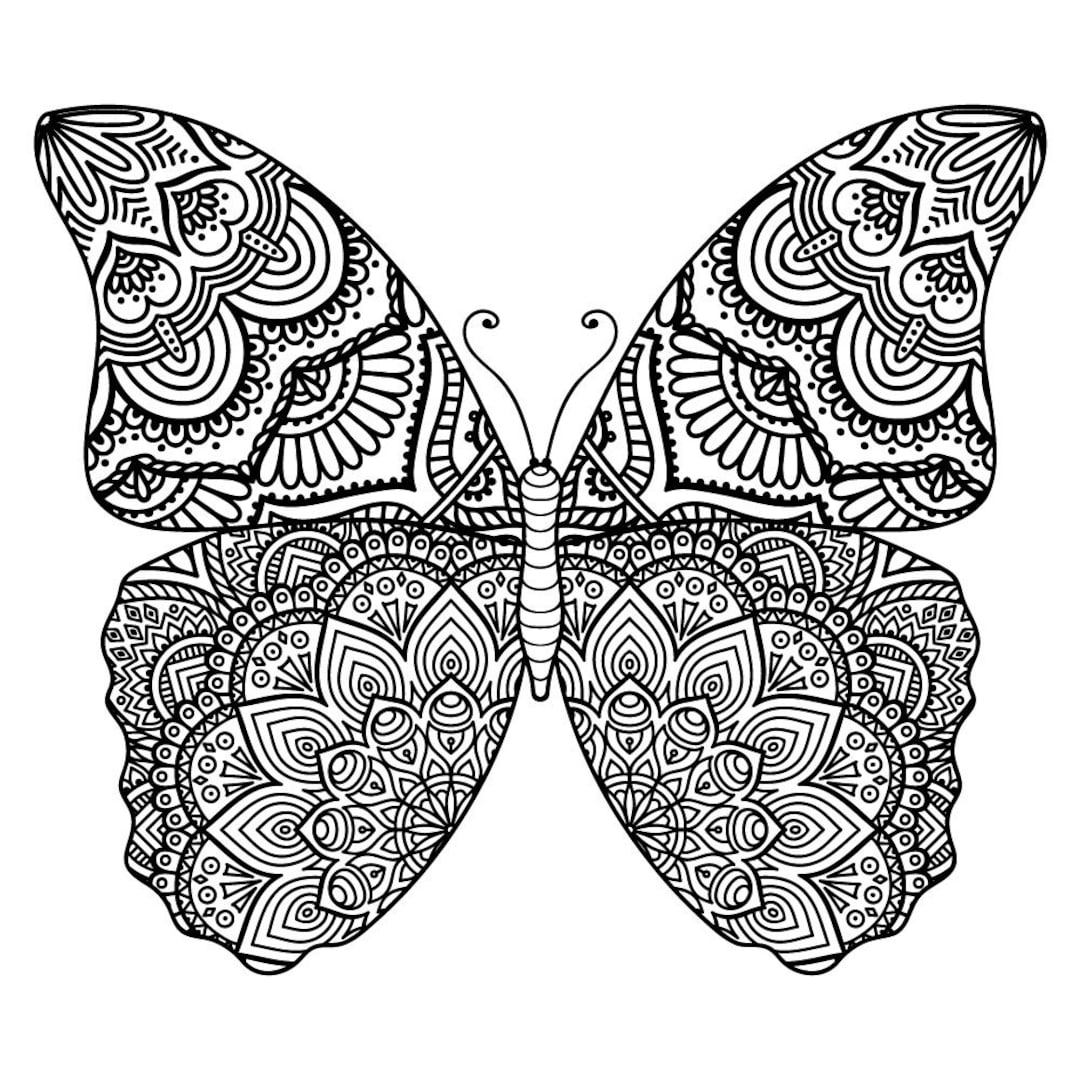 24" X 24" Large Coloring Poster - Butterfly V - Etsy
