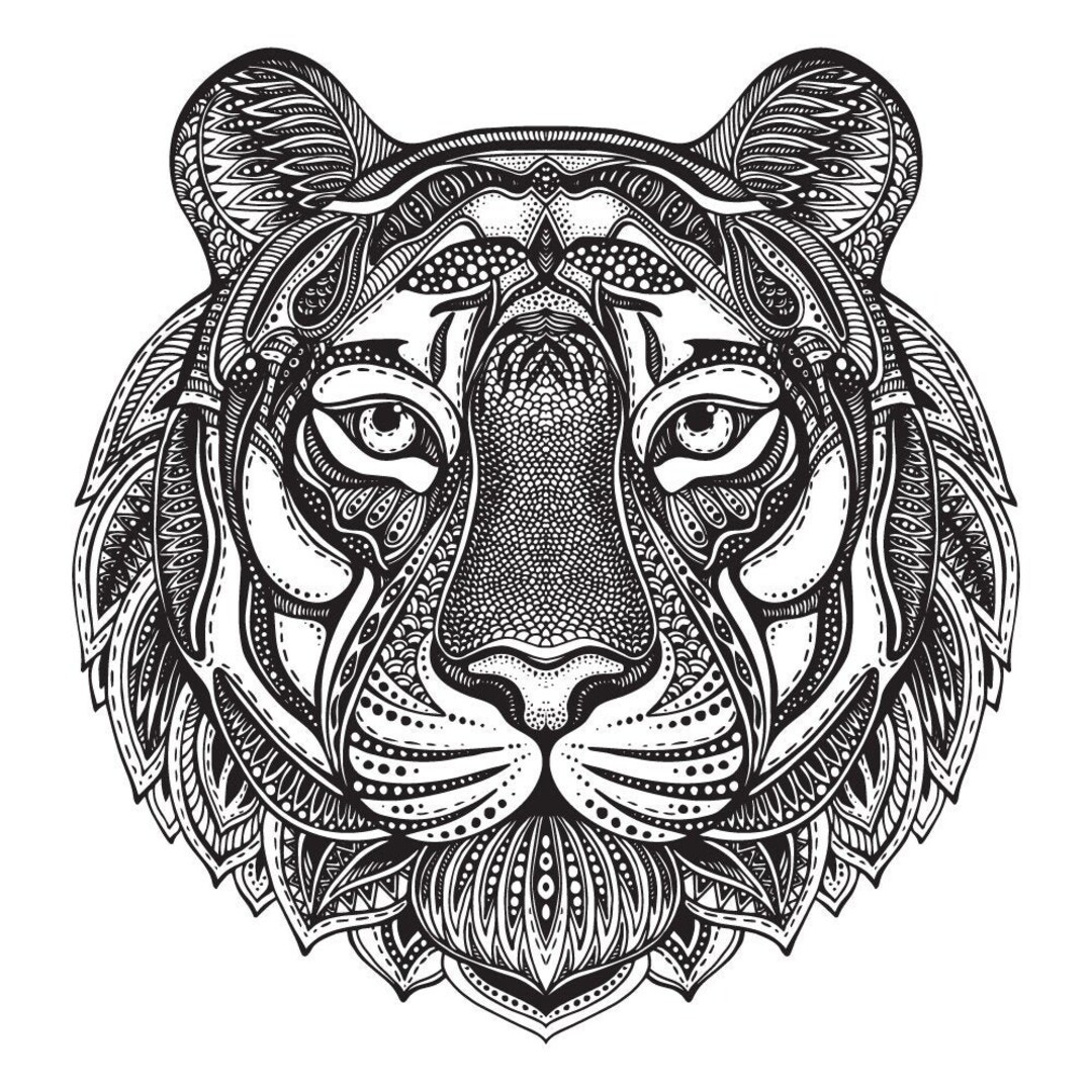 24" X 24" Large Coloring Poster - Tiger - Etsy