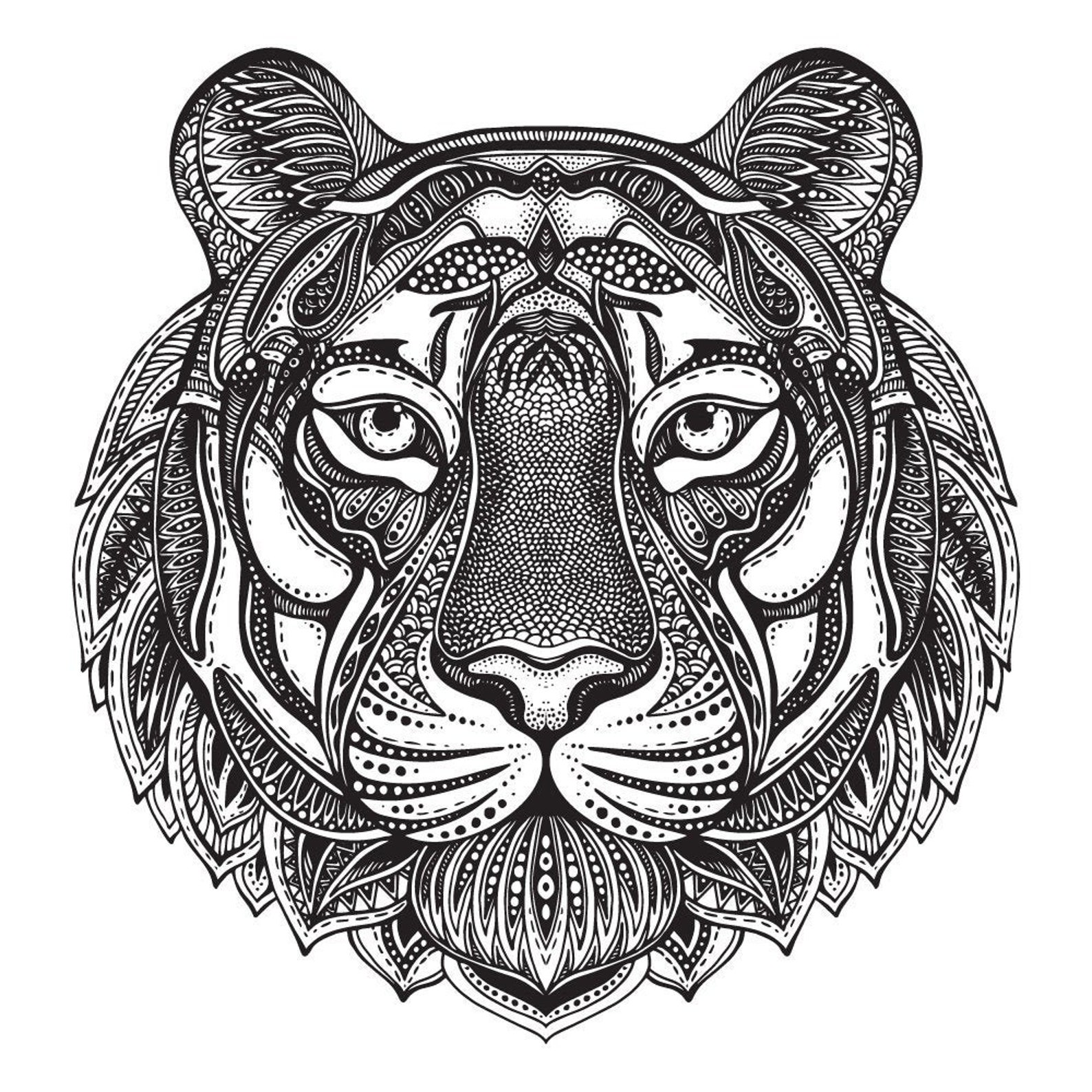 24 X 24 Large Coloring Poster Tiger | Etsy
