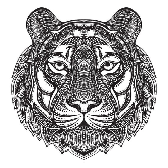 24 X 24 Large Coloring Poster Tiger | Etsy