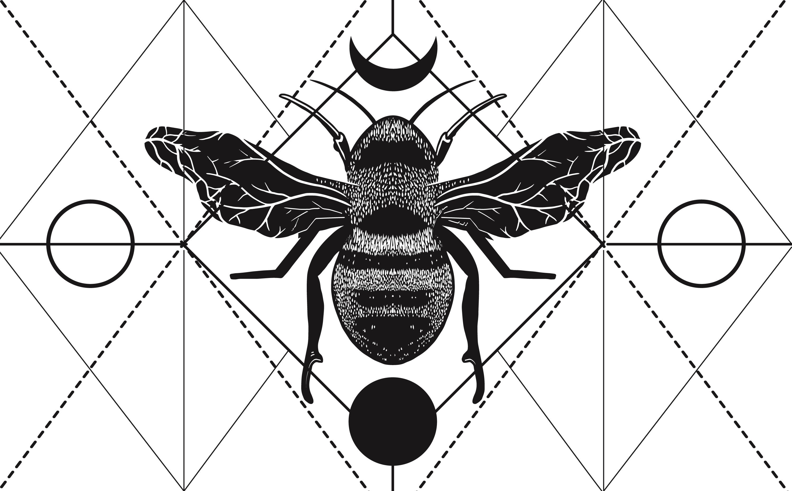 Bee Hoodie Moon Moon Phases Chakras Meditate Yoga | Etsy