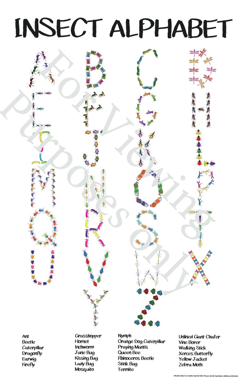Insect Alphabet Wall Art - Etsy