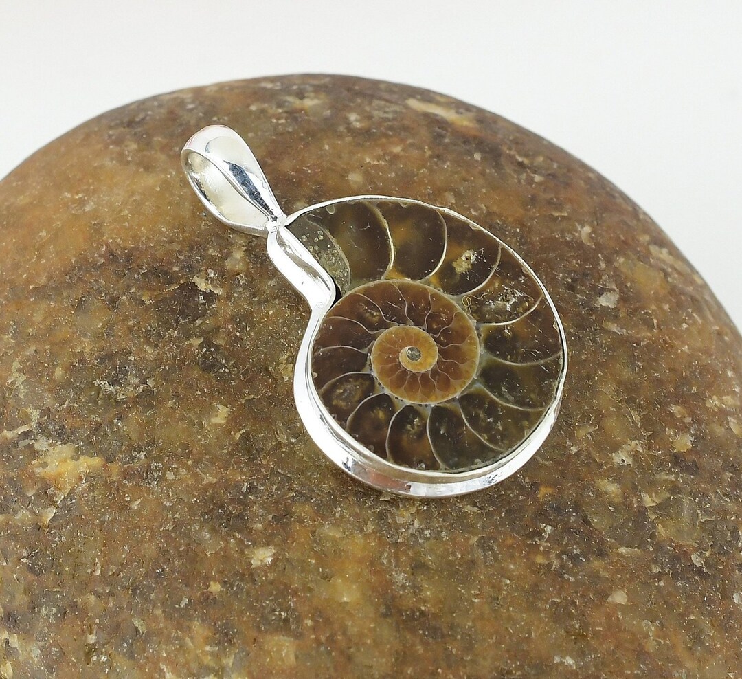 Ammonite Pendant, Ammonite Fossil Shell Sterling Silver Necklace ...