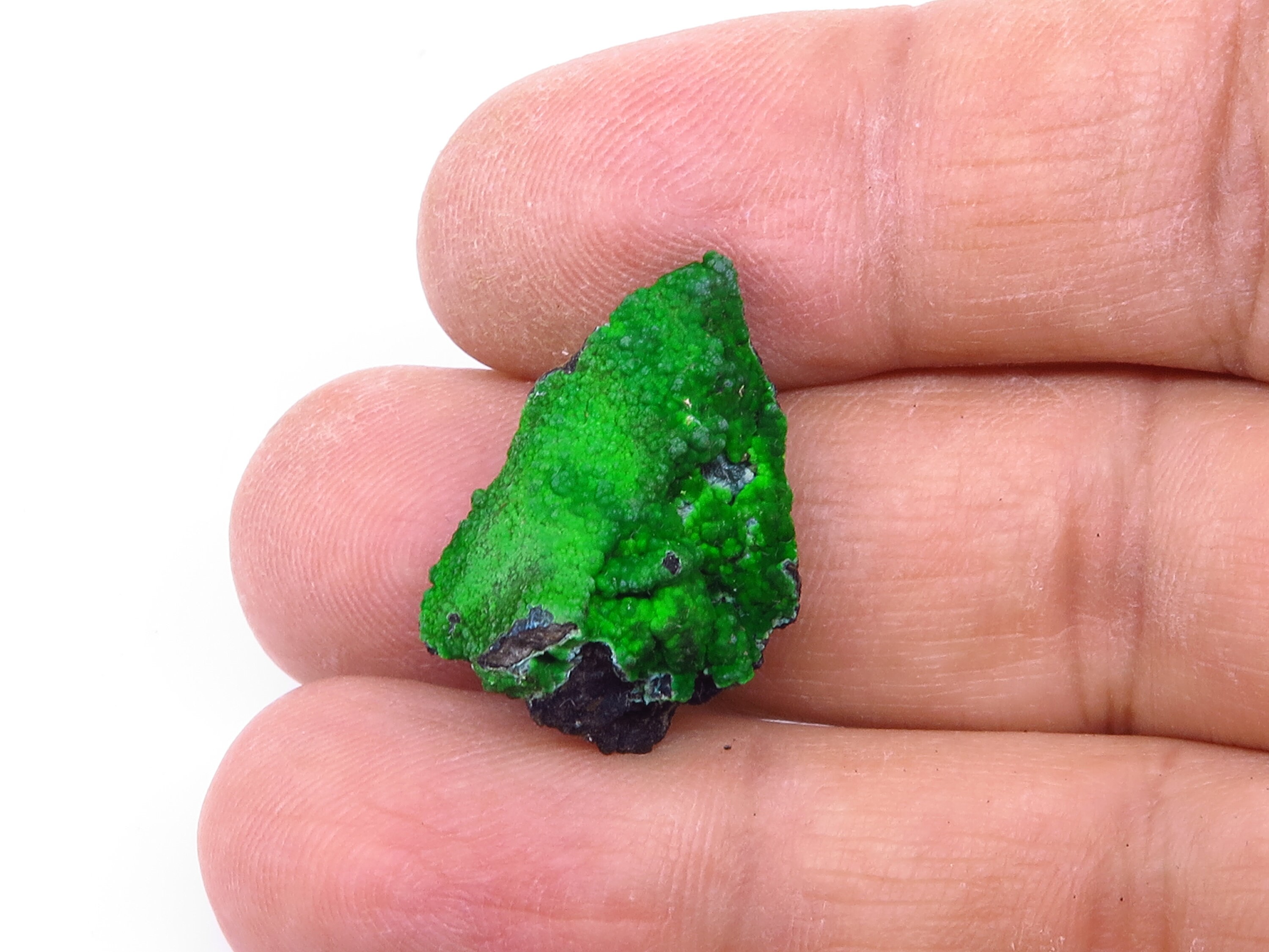 TOP GREEN CONICHALCITE Mineral Specimens From Spain (one Mineral ...