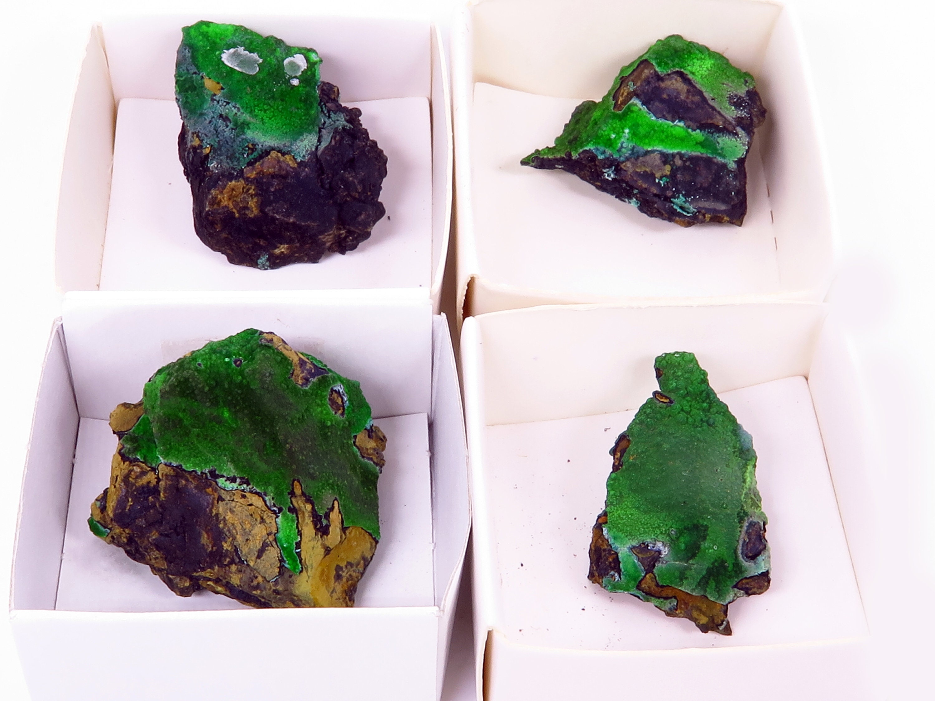 TOP GREEN CONICHALCITE Mineral Specimens From Spain (one Mineral ...