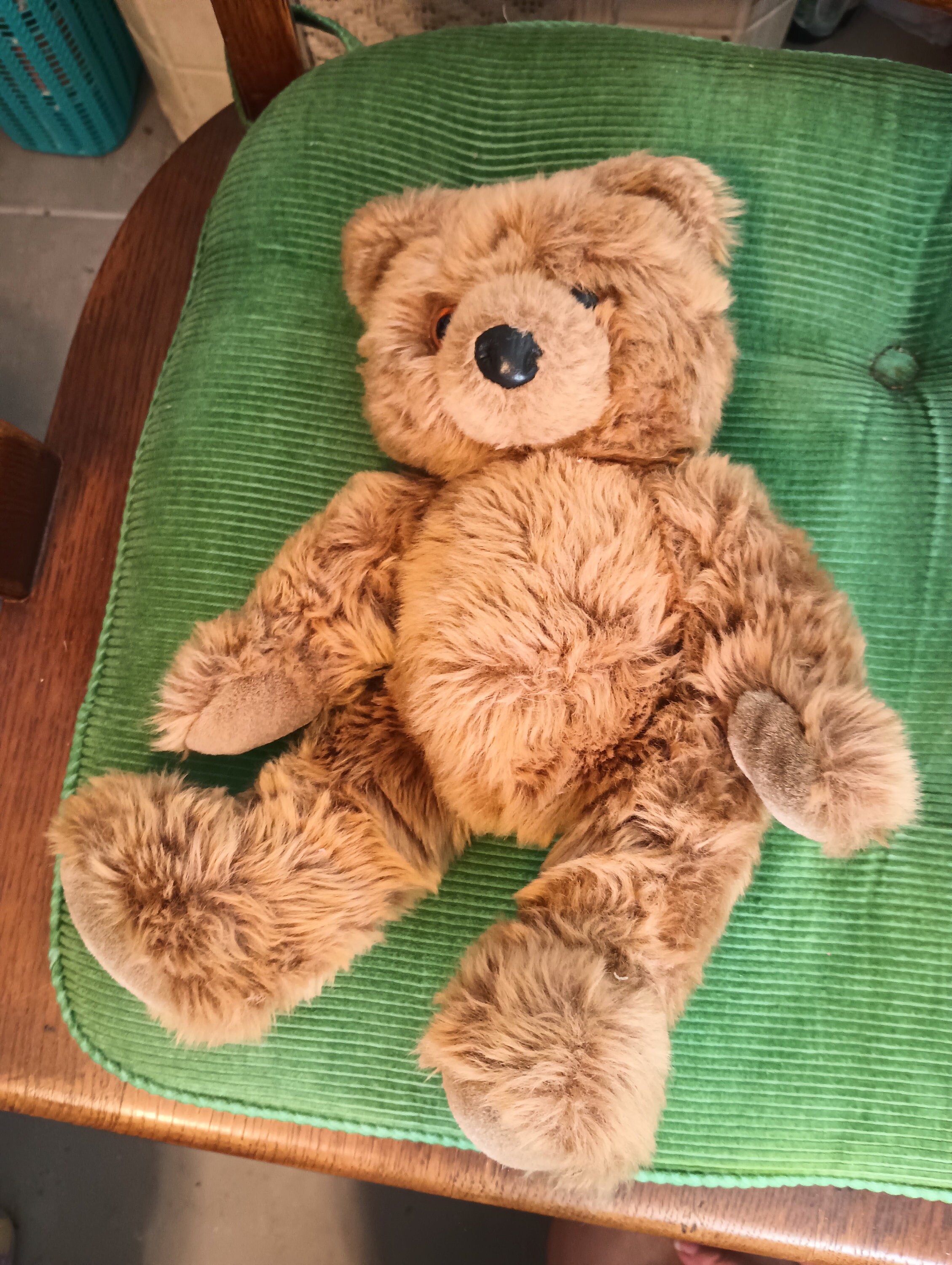 LL Bean Cuddly Bear Cub - Etsy
