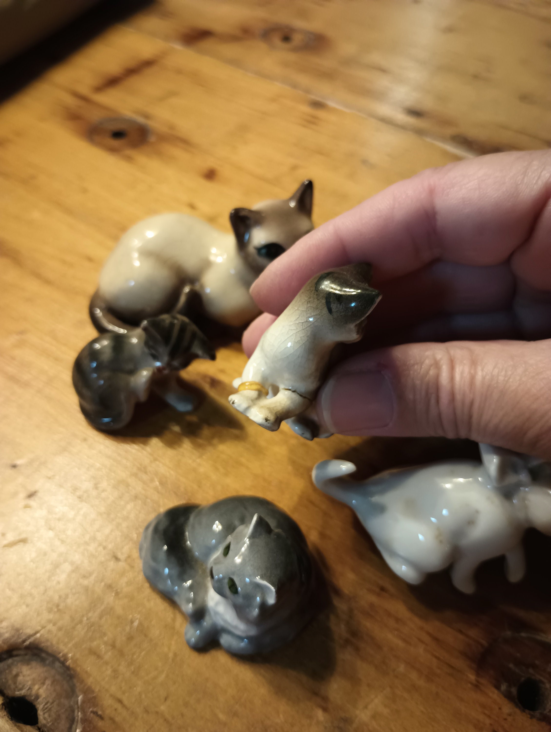 A Clowder of Cat Figures - Etsy