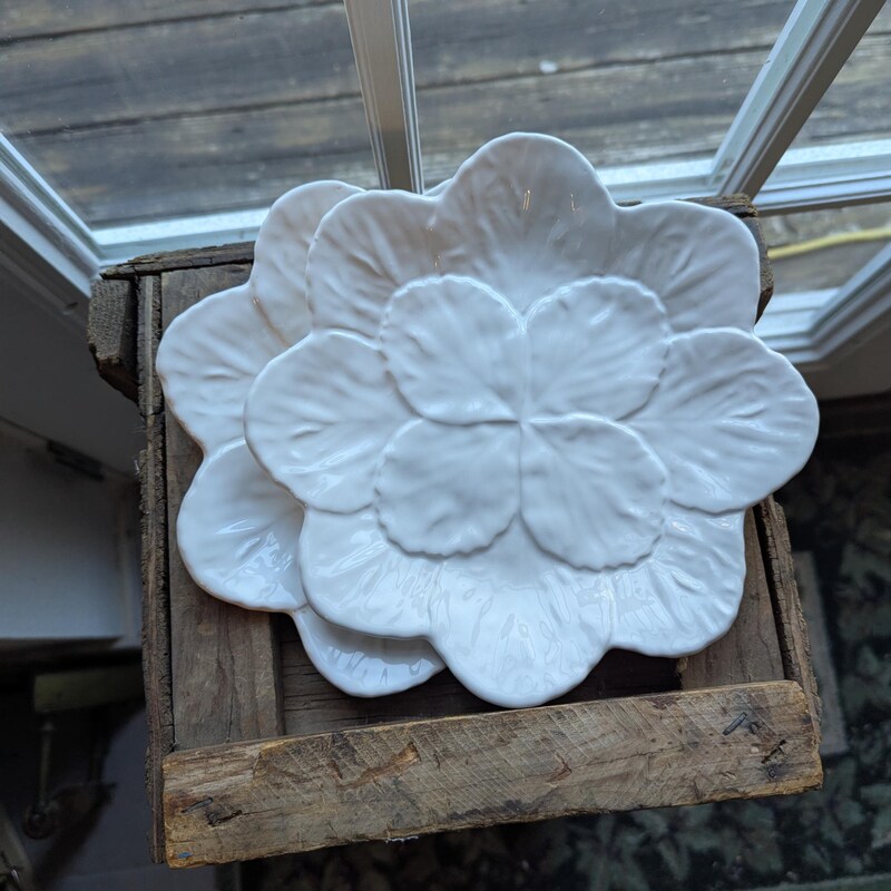 Cabbage Plates - Etsy