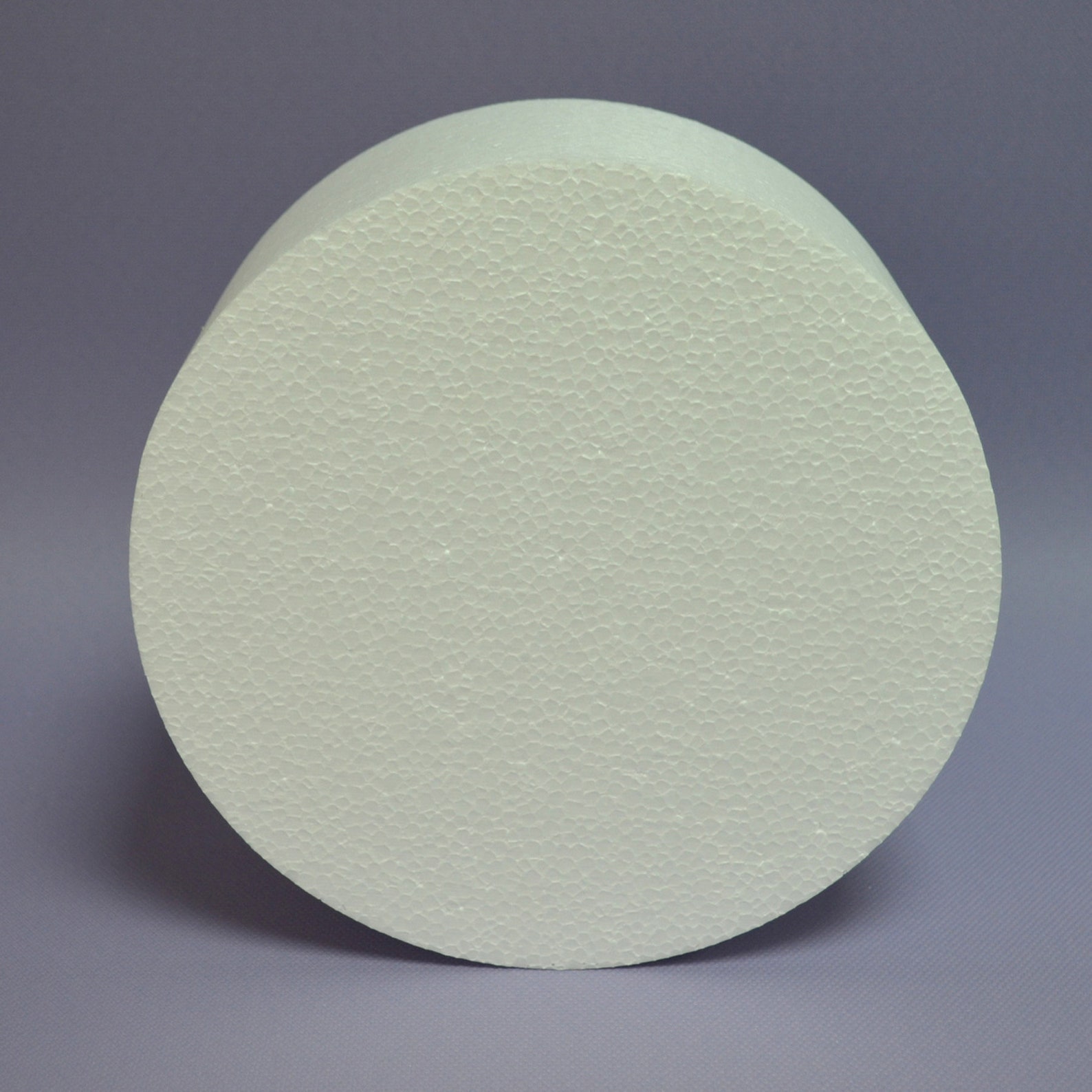 Slice of 49-5 x 10 cm Styrofoam Circle Dummy Cake Round Base | Etsy