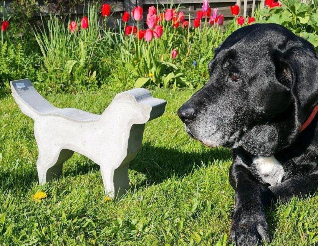 Casting Mold Dog Dog Breed Concrete Casting Mold Favorite Animal for ...