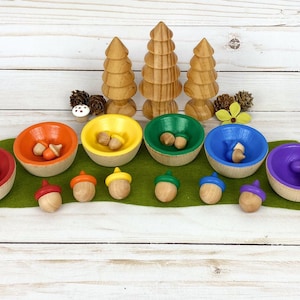 Wooden Acorn Rainbow Color Sort/small World Play Accessory/preschool ...