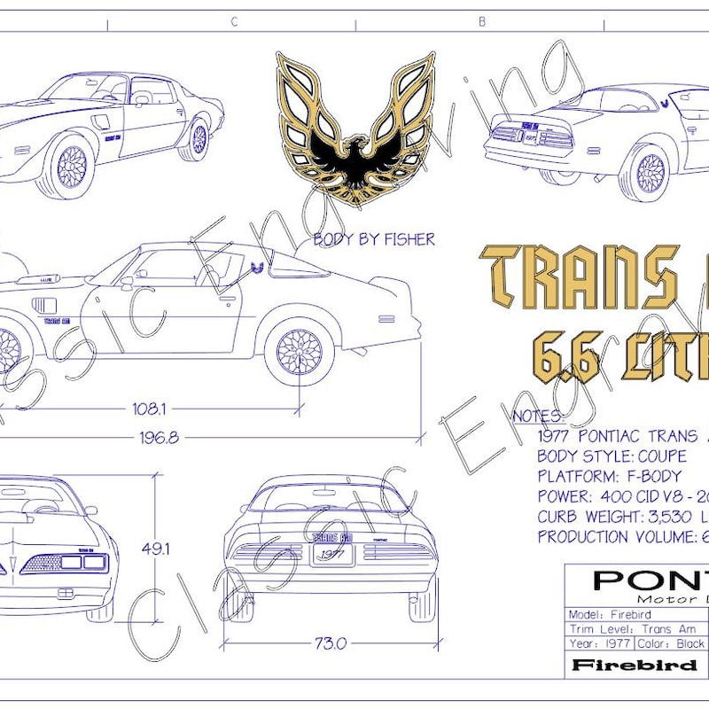 Trans Am Decals - Etsy