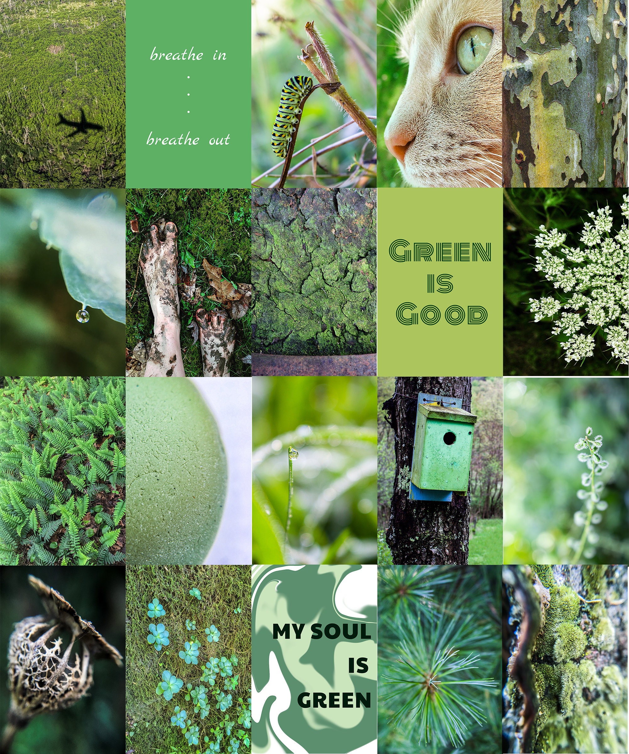 Green Aesthetic Wall Collage, Nature Wall Collage Kit Aesthetic Collage ...