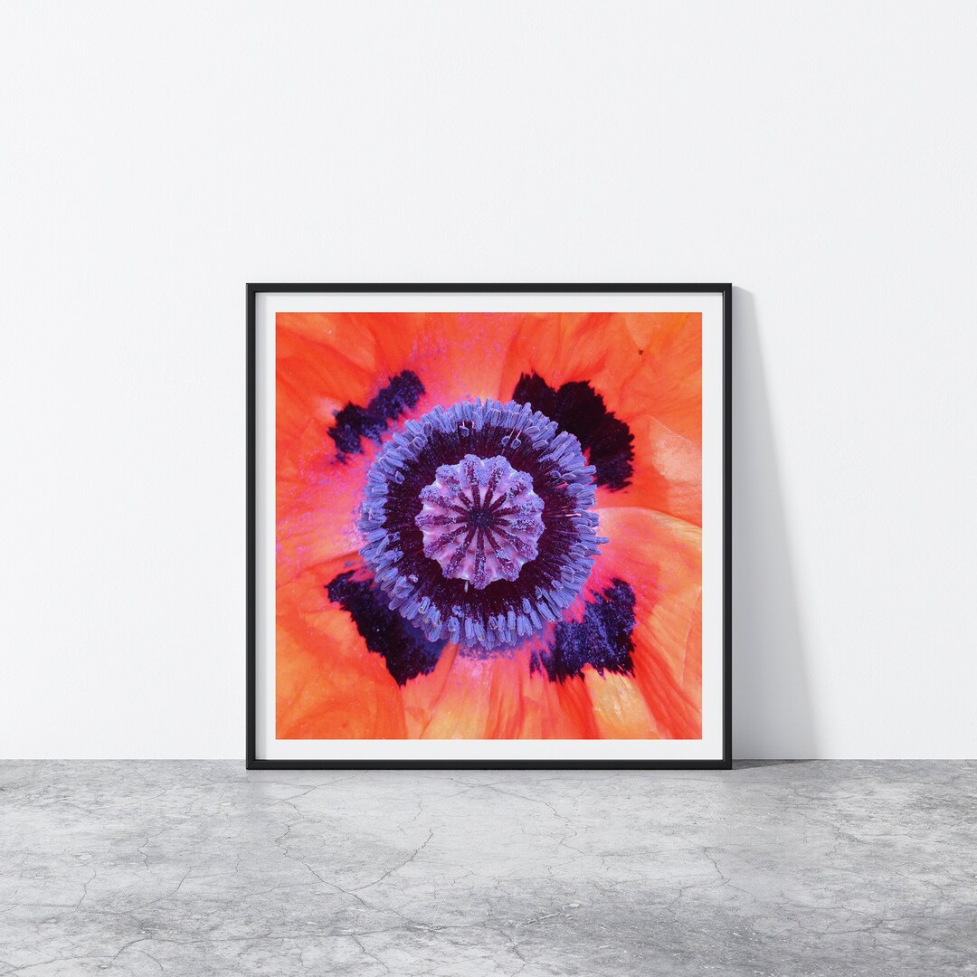 Orange Poppy Print, Square Printable Wall Art, Colorful Flower Wall Art ...