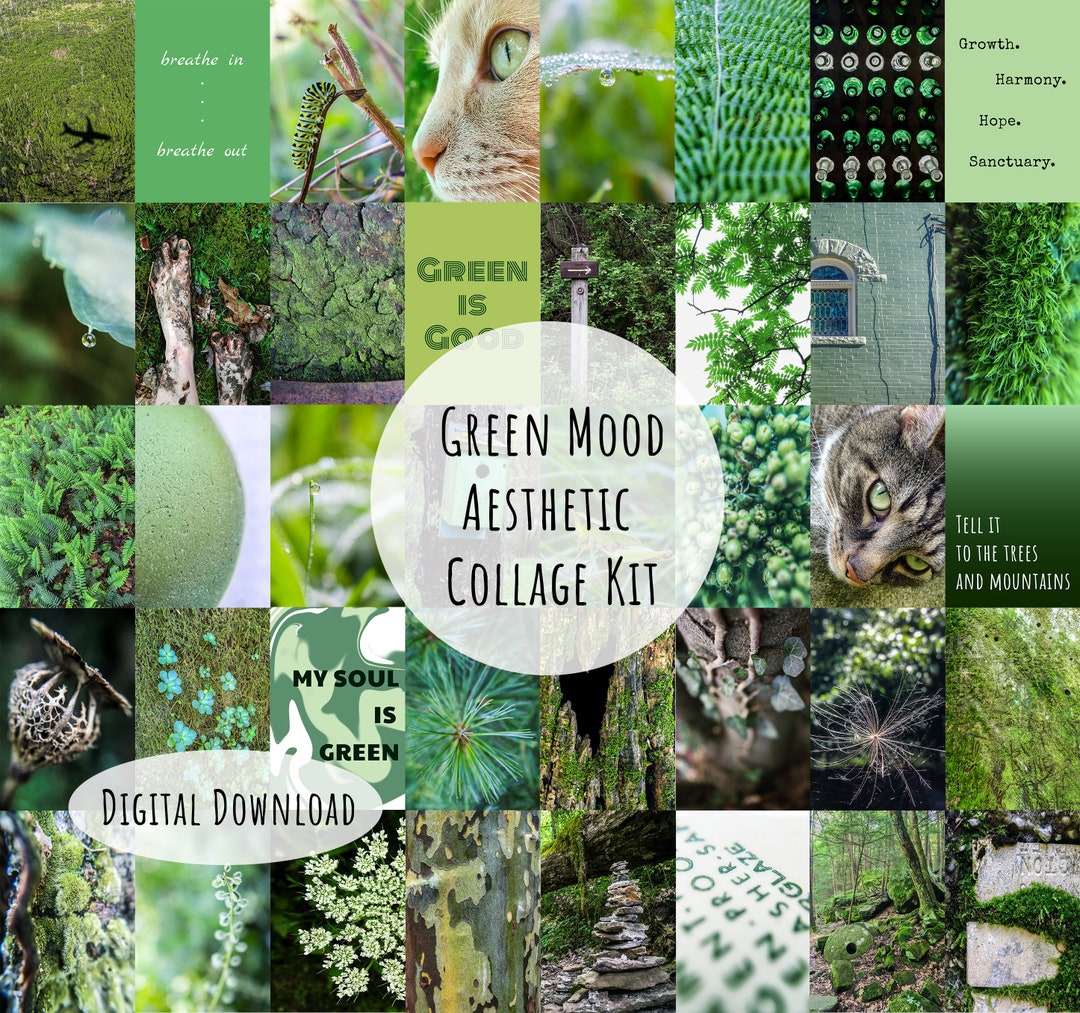 Green Aesthetic Wall Collage, Nature Wall Collage Kit Aesthetic Collage ...