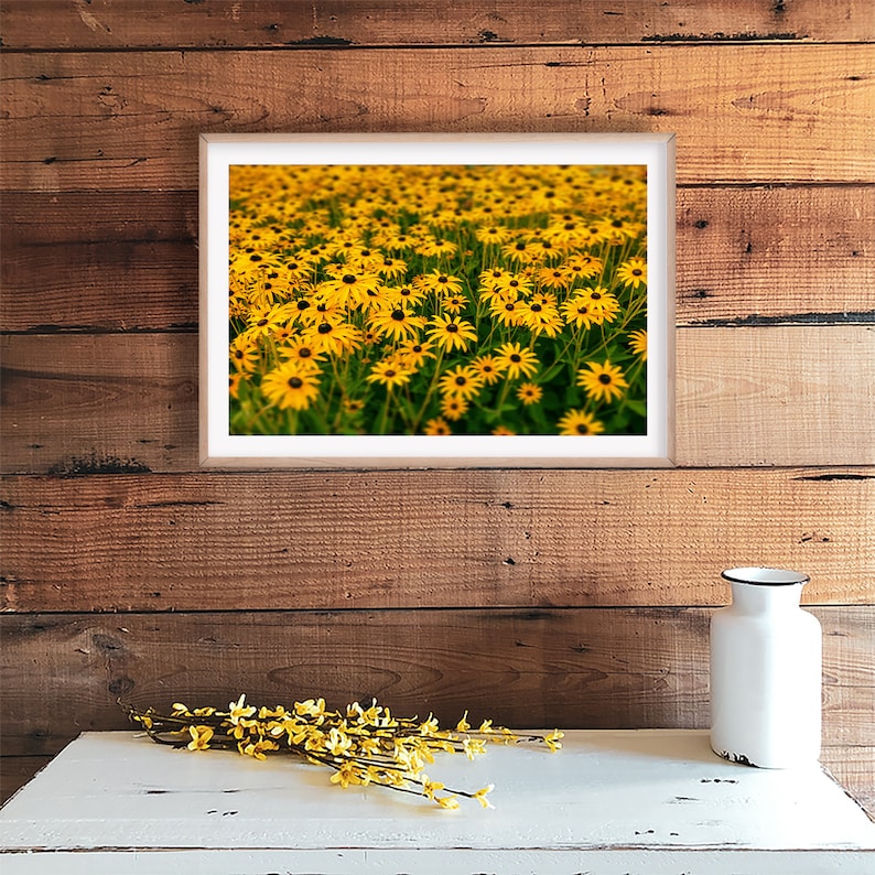 Wildflower Photography, Colorful Farmhouse Decor, Cottage Wall Art ...