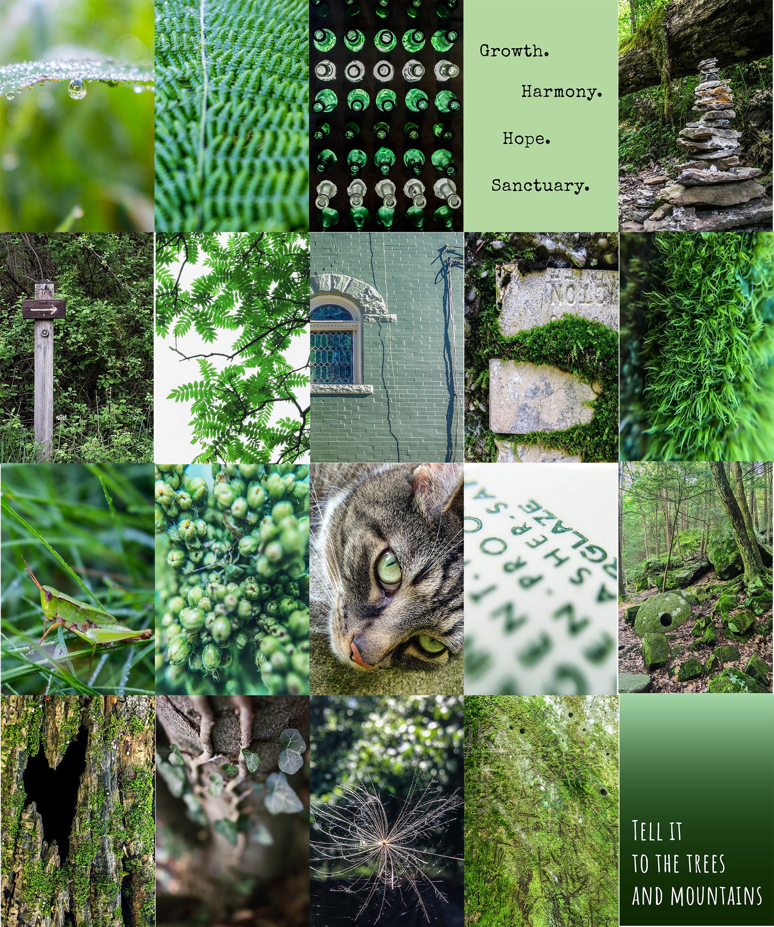 Green Aesthetic Wall Collage, Nature Wall Collage Kit Aesthetic Collage ...
