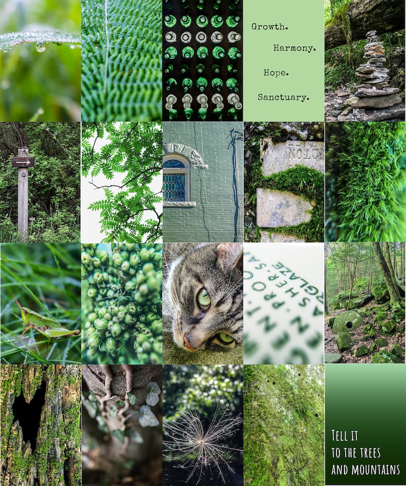 Green Aesthetic Wall Collage, Nature Wall Collage Kit Aesthetic Collage ...