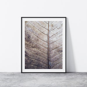 Rustic Farmhouse Print Set Digital Country Prints Vintage Cabin Woods ...