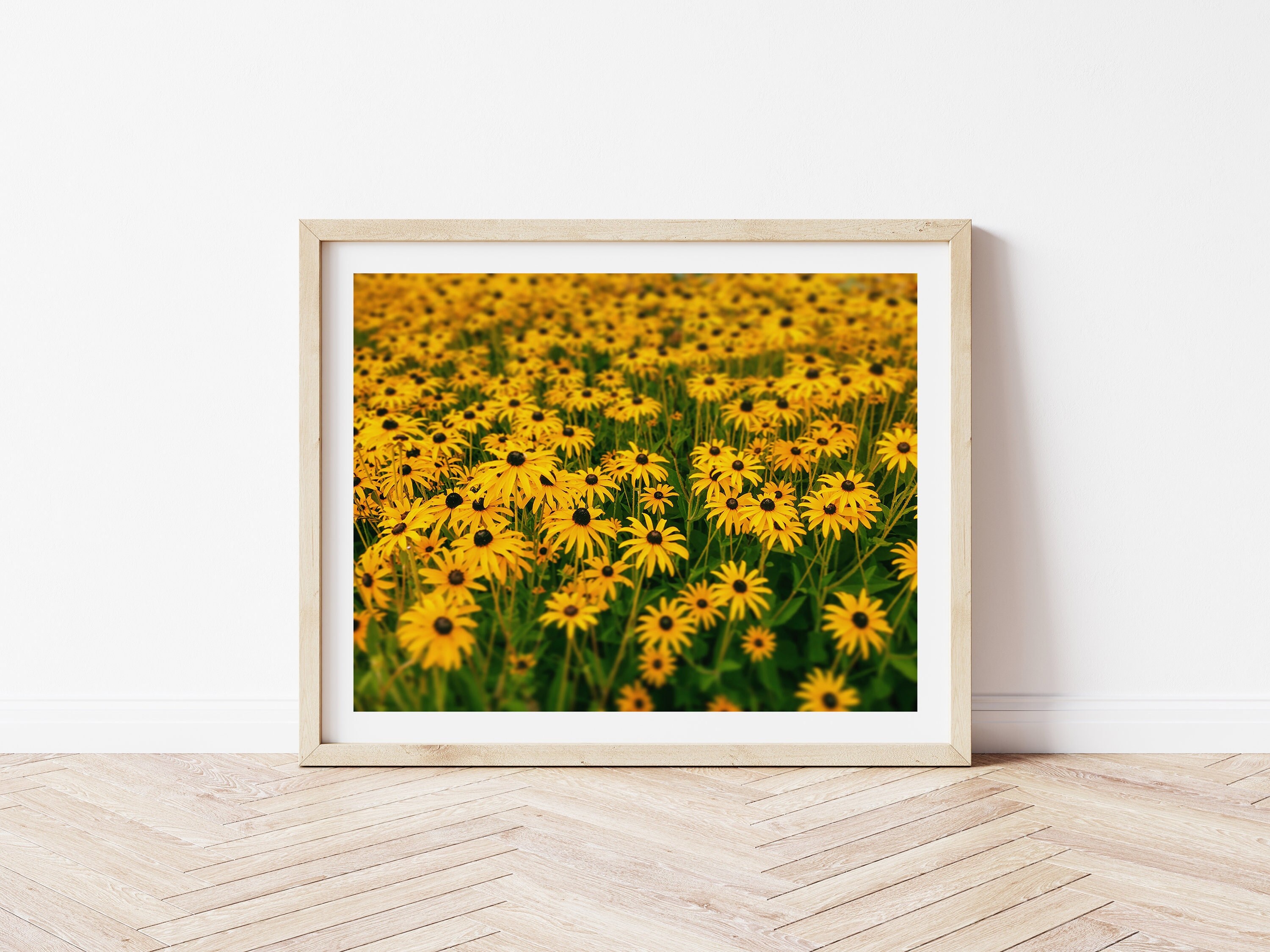 Wildflower Photography, Colorful Farmhouse Decor, Cottage Wall Art ...