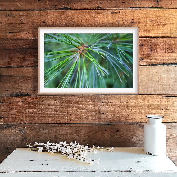 Pine Tree Print Scandinavian Photo Nordic Poster Christmas - Etsy