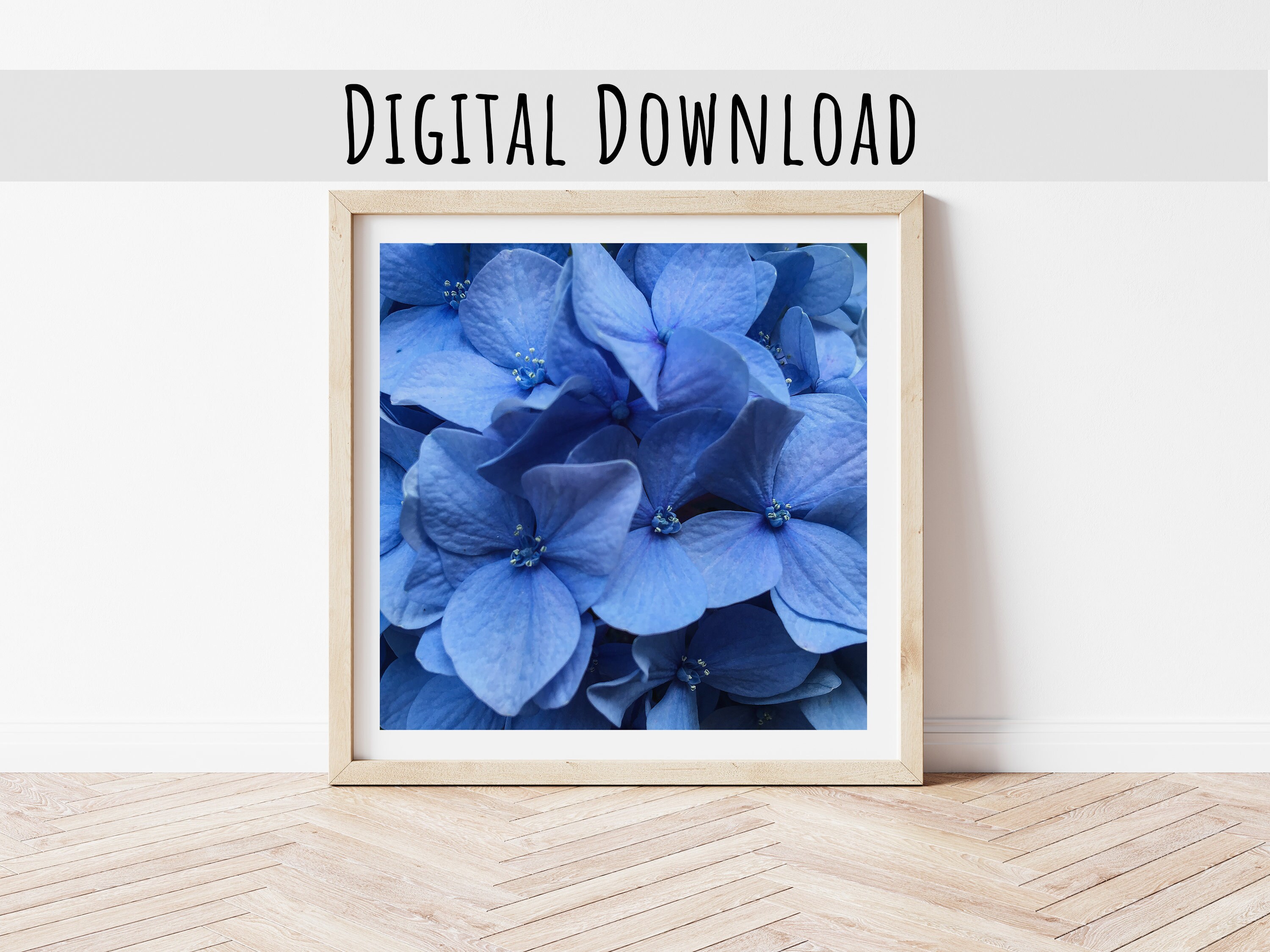 Blue Hydrangea Wall Art, Hydrangea Print, Square Flower Print, Floral ...