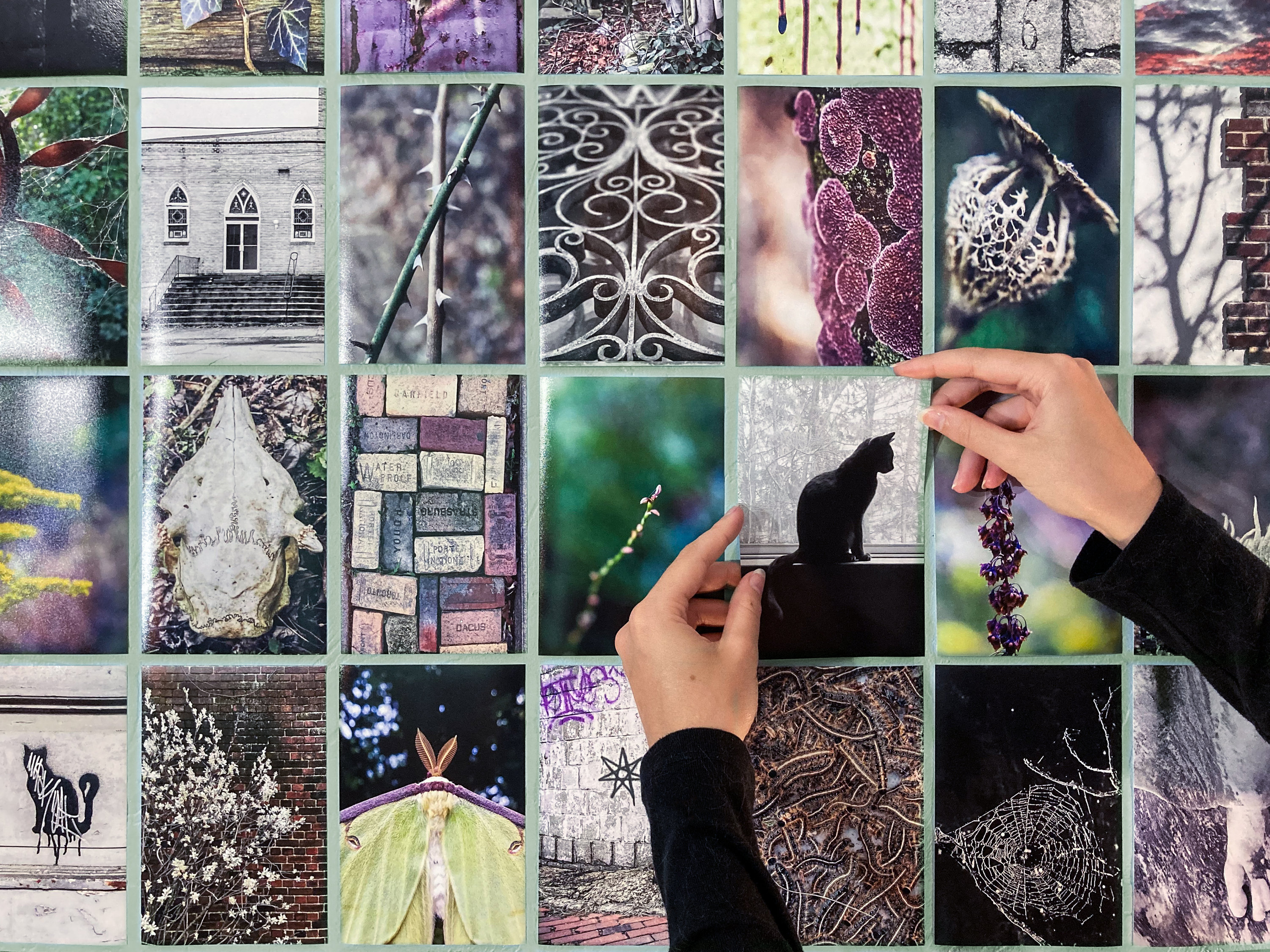 Witchy Wall Collage, Witch Aesthetic Decor Gothic Grunge Prints College ...