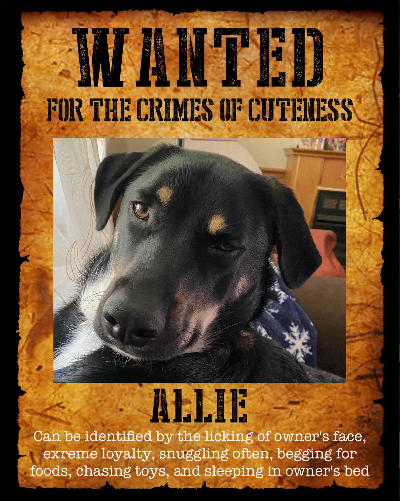Pet Wanted Poster - Digital Image - Best Seller - Pet Poster - Etsy