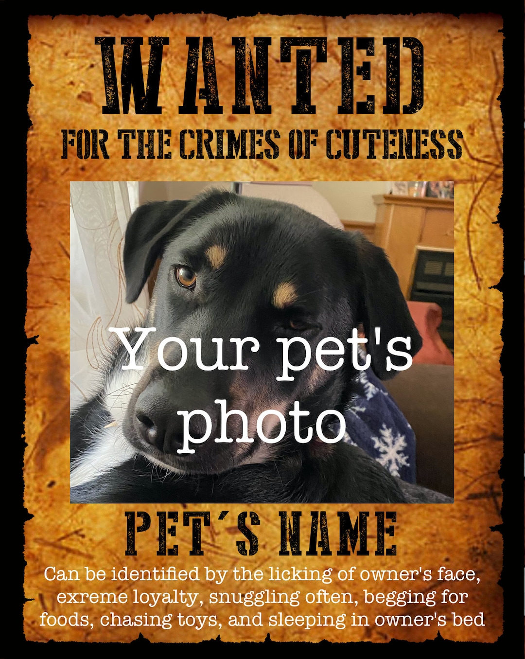 Pet Wanted Poster - Digital Image - Best Seller - Pet Poster - Etsy