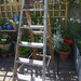 Vintage Step Ladders - Etsy