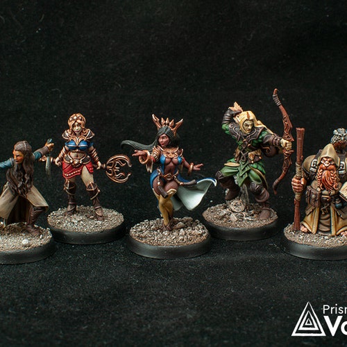 Dwarf Monk Miniature for Dungeons & Dragons Tabletop RPG - Etsy