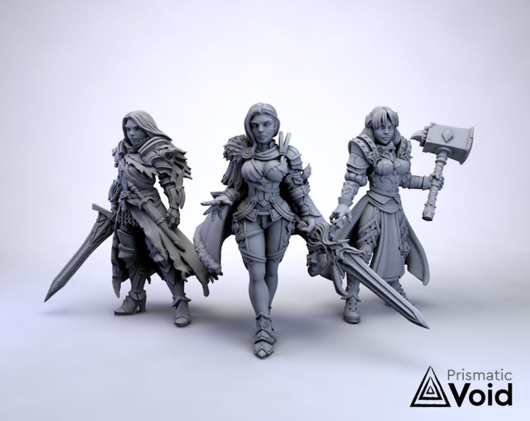 Female Royal Guards / Paladins / Defenders - Miniatures for Dungeons ...