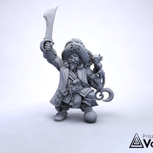 Dwarf Pirate Cook Miniature for Dungeons & Dragons Tabletop - Etsy
