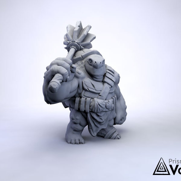 Tortle Miniature Painted - Etsy