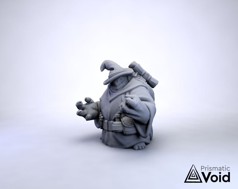 Tortle Wizard miniature for Dungeons & Dragons Pathfinder | Etsy