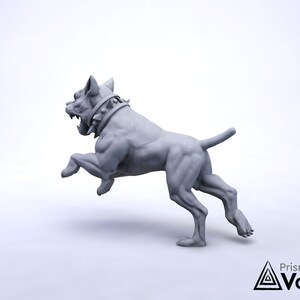 Veteran Gladiator With Dogs - Miniature for Dungeons & Dragons ...