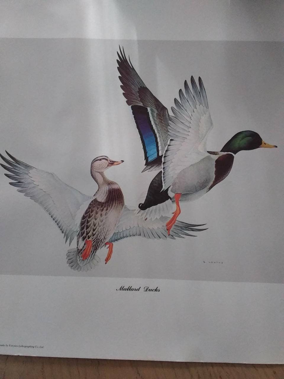 Vintage Martin Glen Loates Lithographed Reproduction Print Canadian ...