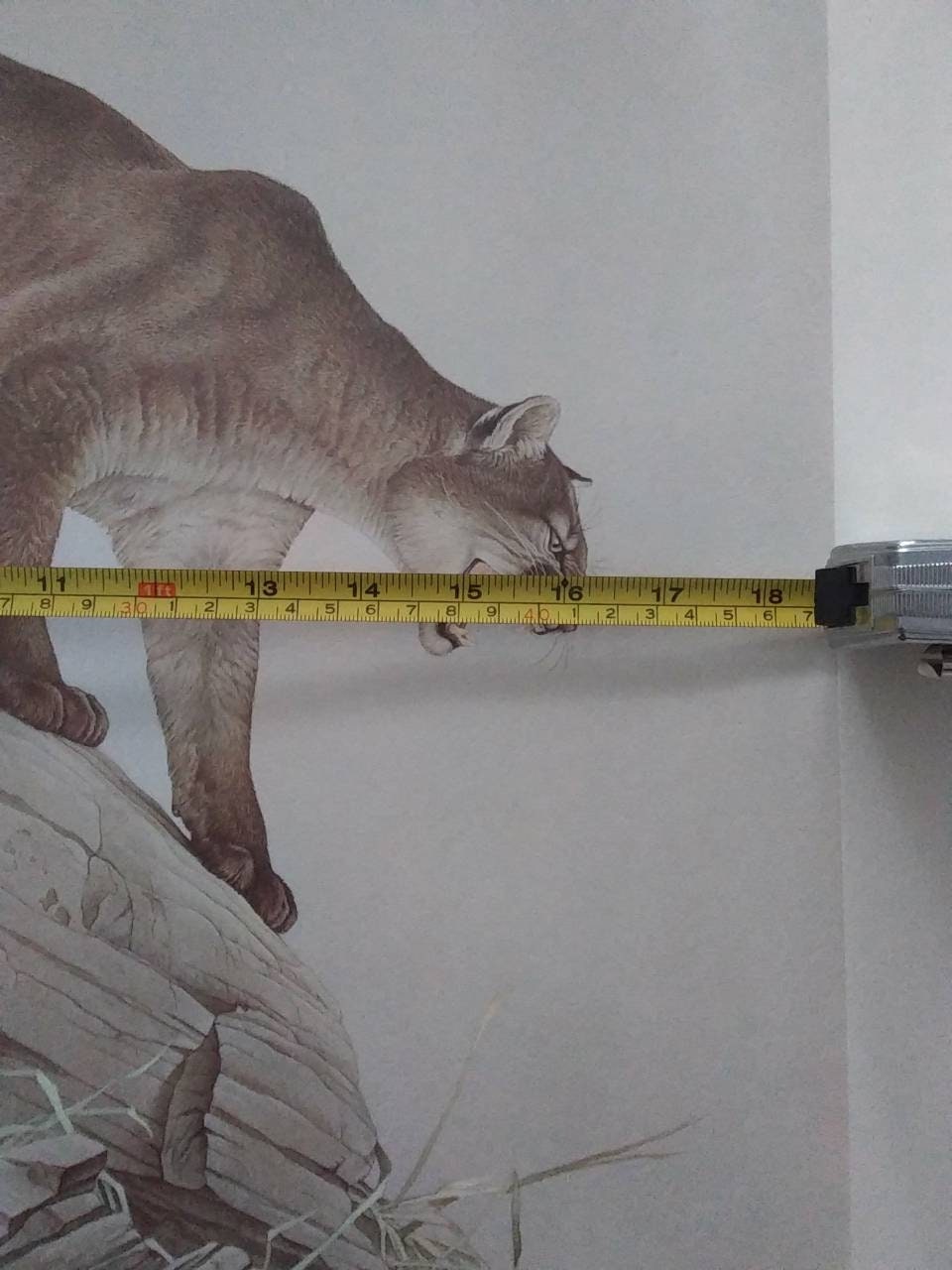 Vintage Martin Glen Loates Wildlife Canadian Lithograped Print 1967 ...