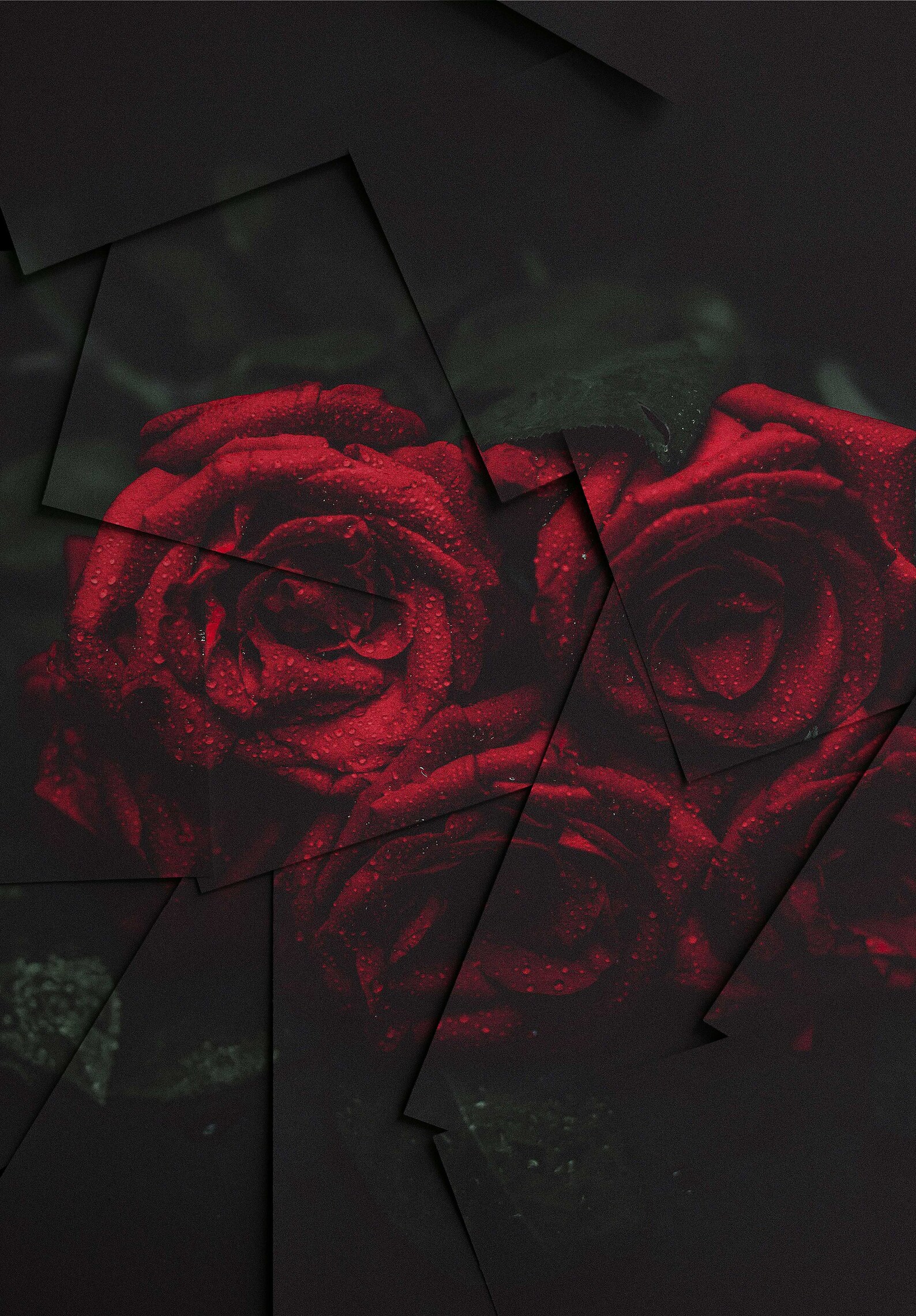 Mood Roses Removable Wallpaper Wall Mural Peel and Stick - Etsy UK