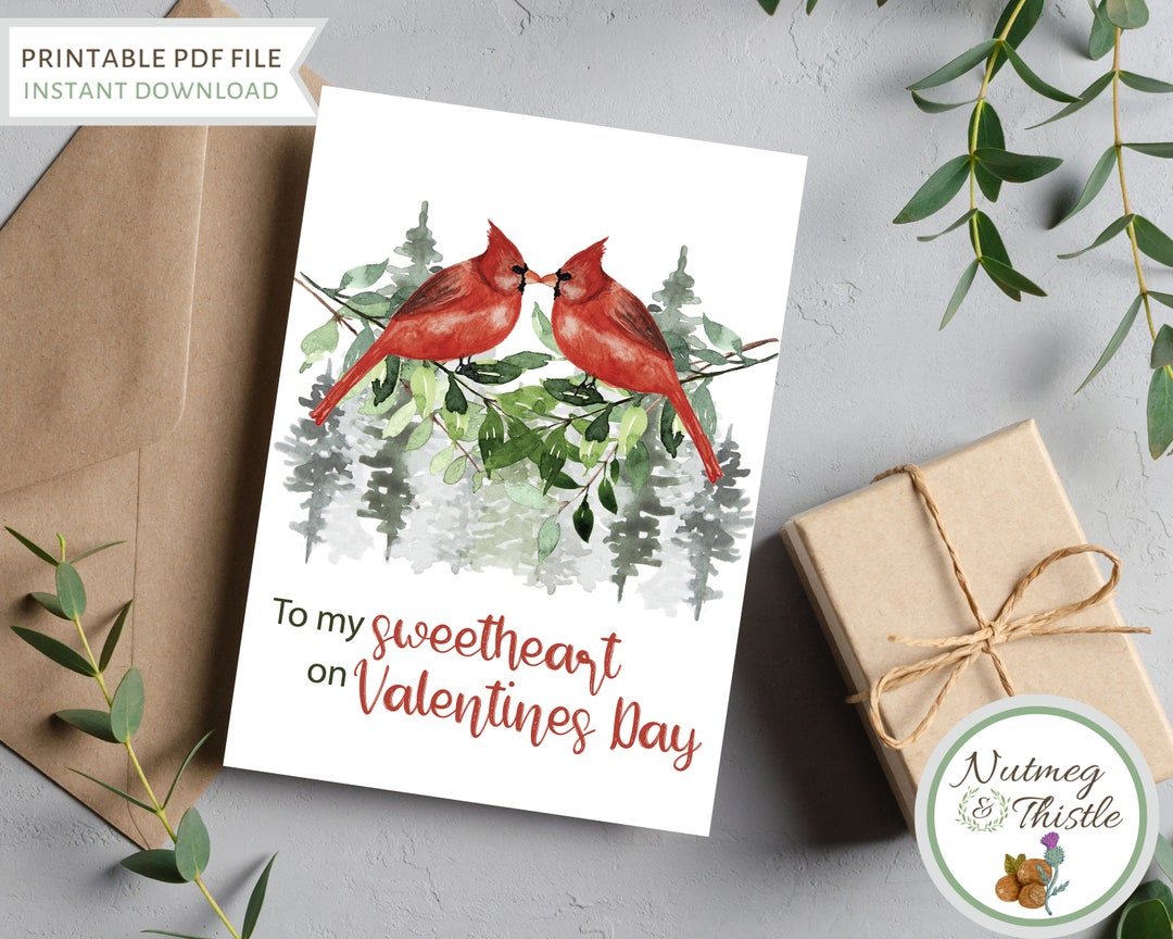 Red Cardinal Valentines Day Card Romantic Bird Valentines - Etsy