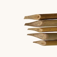 Calligraphy Qalams: Bamboo Pens for Arabic & Urdu Khatati - 25 Pcs - Etsy