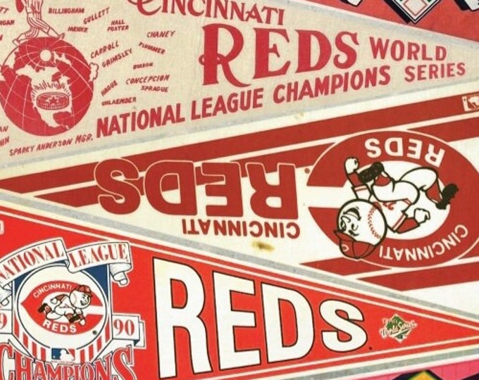 Cincinnati Reds Inspired Decor. Mr Red. Rosie. Baseball. Cincinnati ...