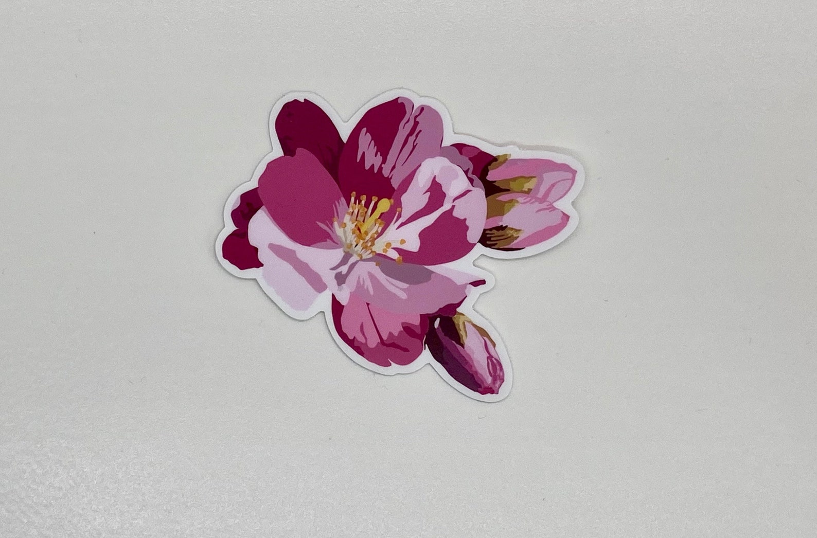 Pink Cherry Blossom Vinyl Sticker - Etsy