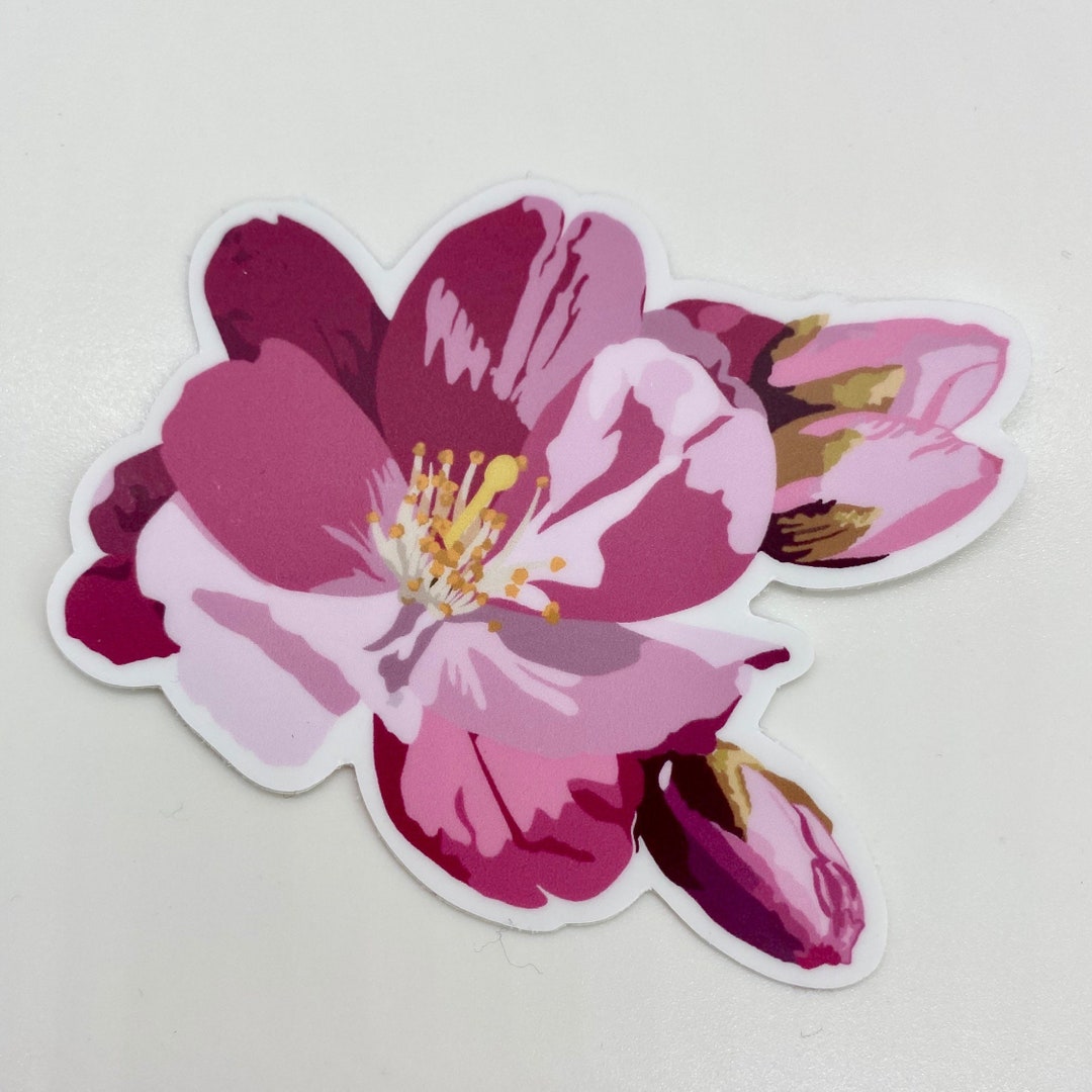 Pink Cherry Blossom Vinyl Sticker - Etsy