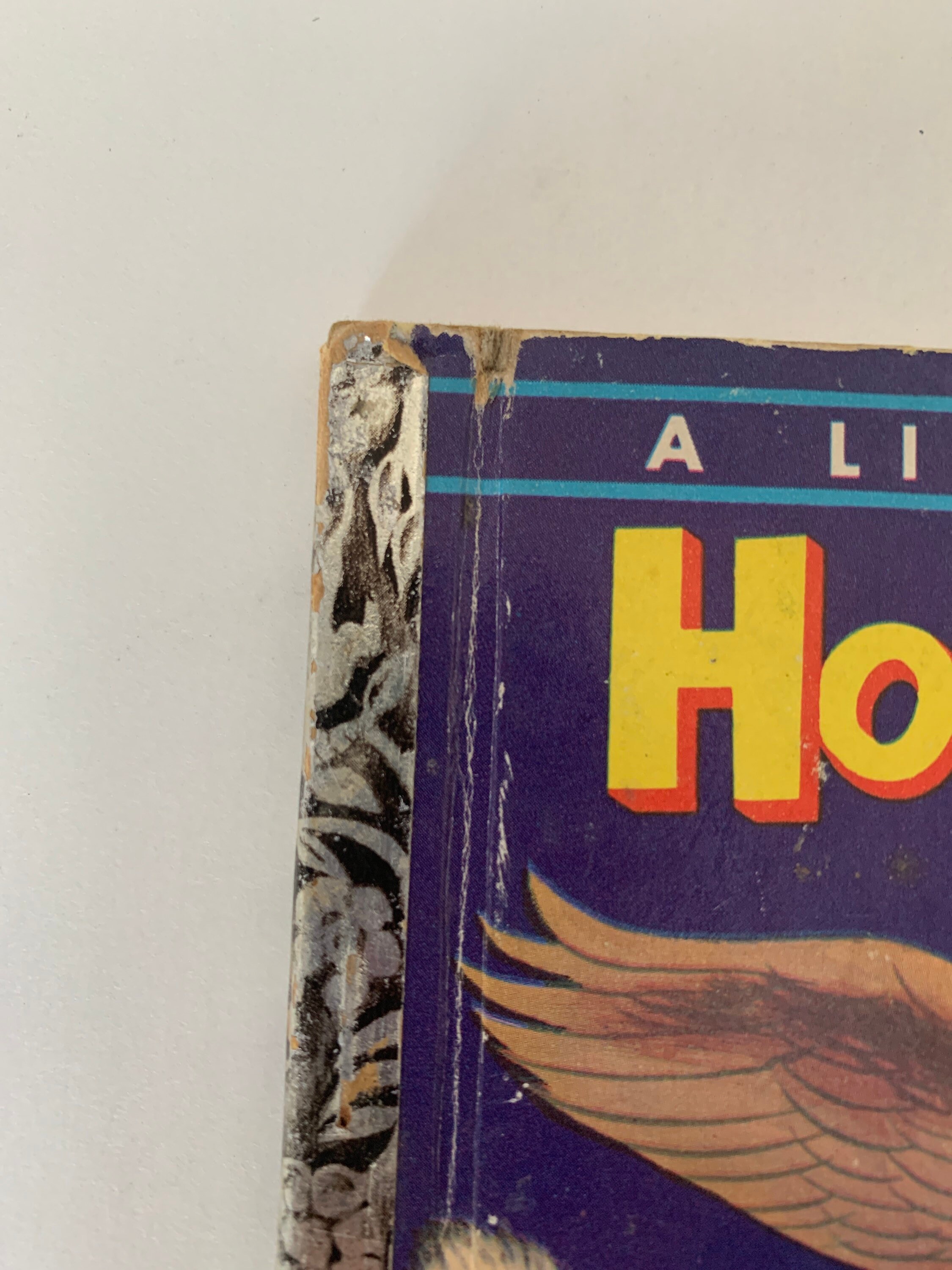 Howdy Doody and His Magic Hat A Little Golden Book 1954 by - Etsy UK